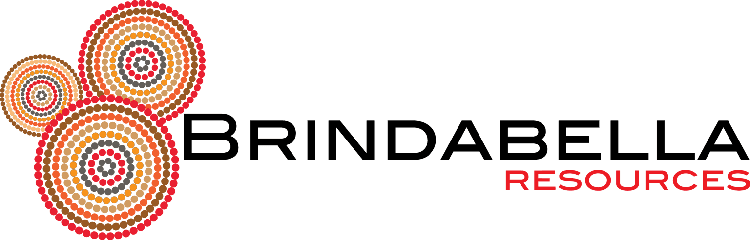 Indigenous Shared Services Group – Empowering Indigenous people through positive change